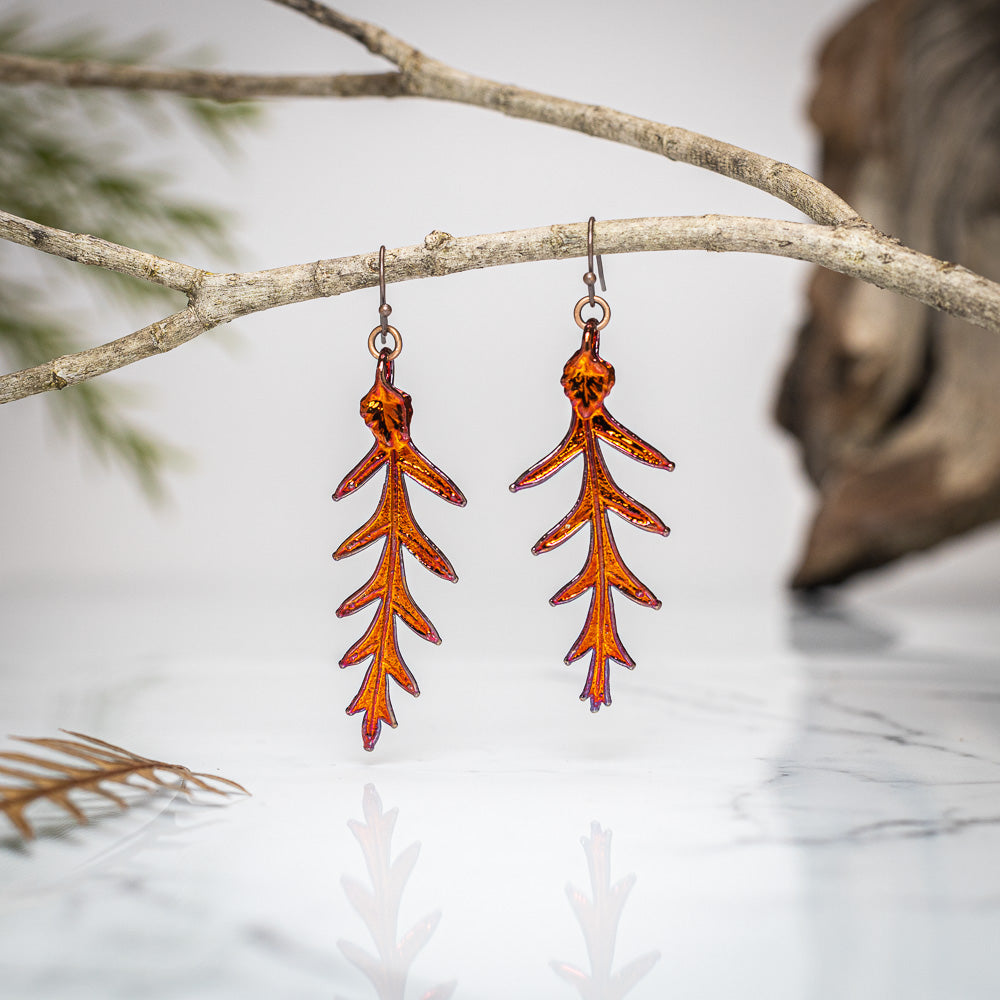 Grevillea Leaf - Copper Earrings – Real Leaf Jewellery Australia
